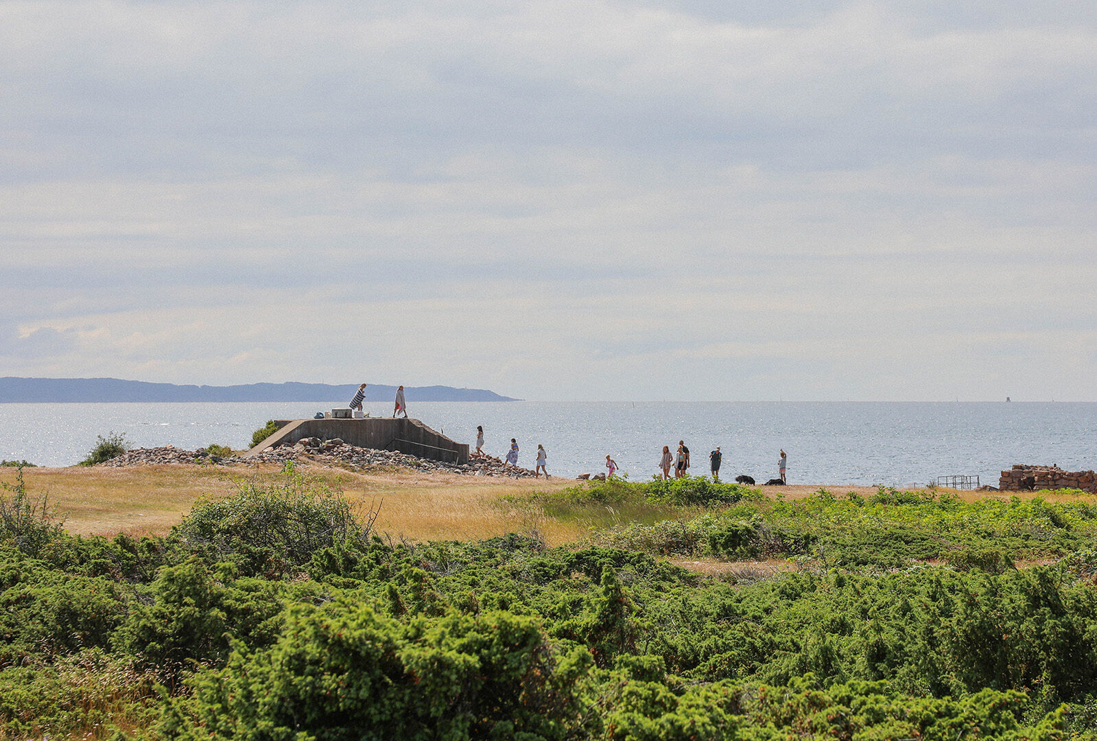 Conference, spa, and weekend close to nature in Skåne - Torekov Hotel