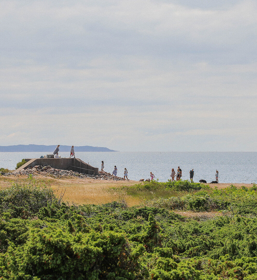 Conference, spa, and weekend close to nature in Skåne - Torekov Hotel